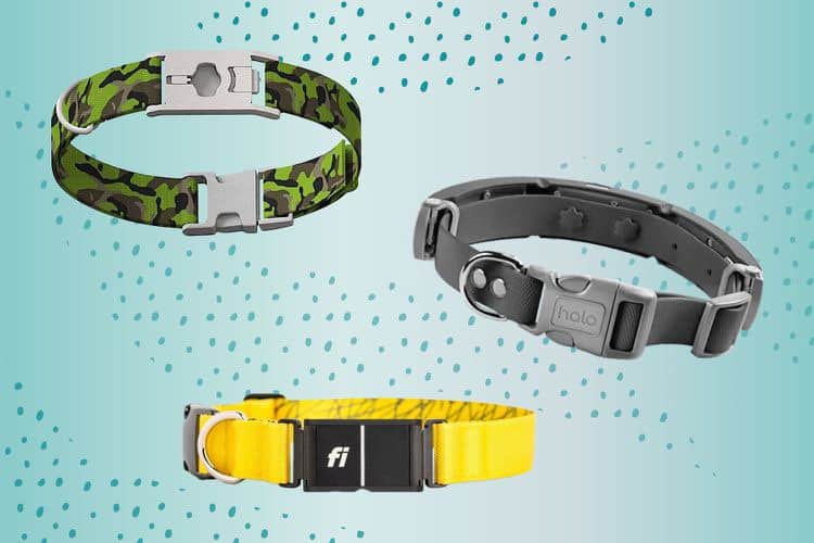 Top 5 Dog GPS Collars in 2024 Aus - BestPicksPro Reviews
